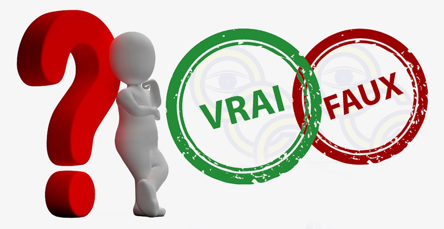 1974-2019: Carnet sommaire du vrai et du faux à l’âge de la maturité ...